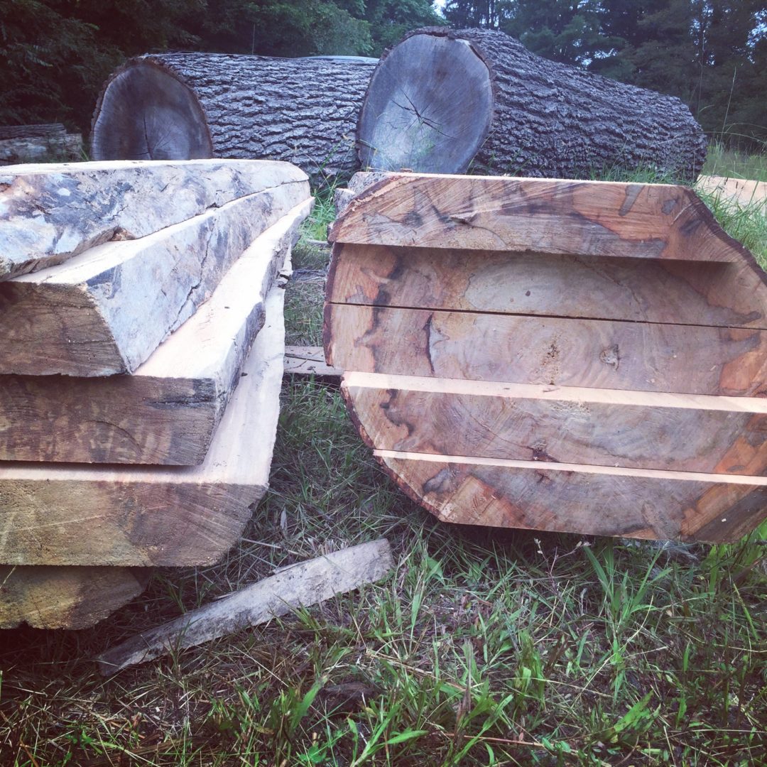 Urban Logging | Green River Woods